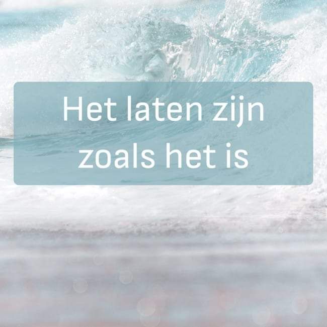 “Het laten zijn zoals het is” – Min of Meer